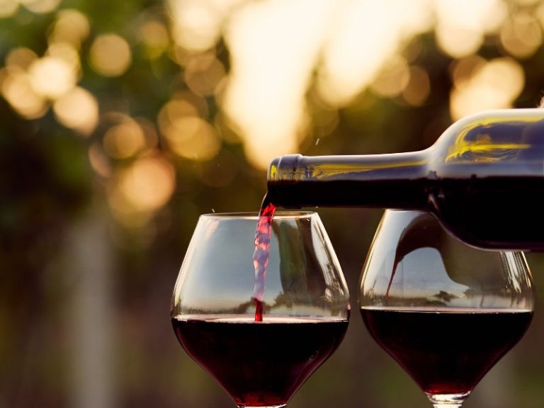 Grands vins de Bordeaux : quels sont les meilleurs vins